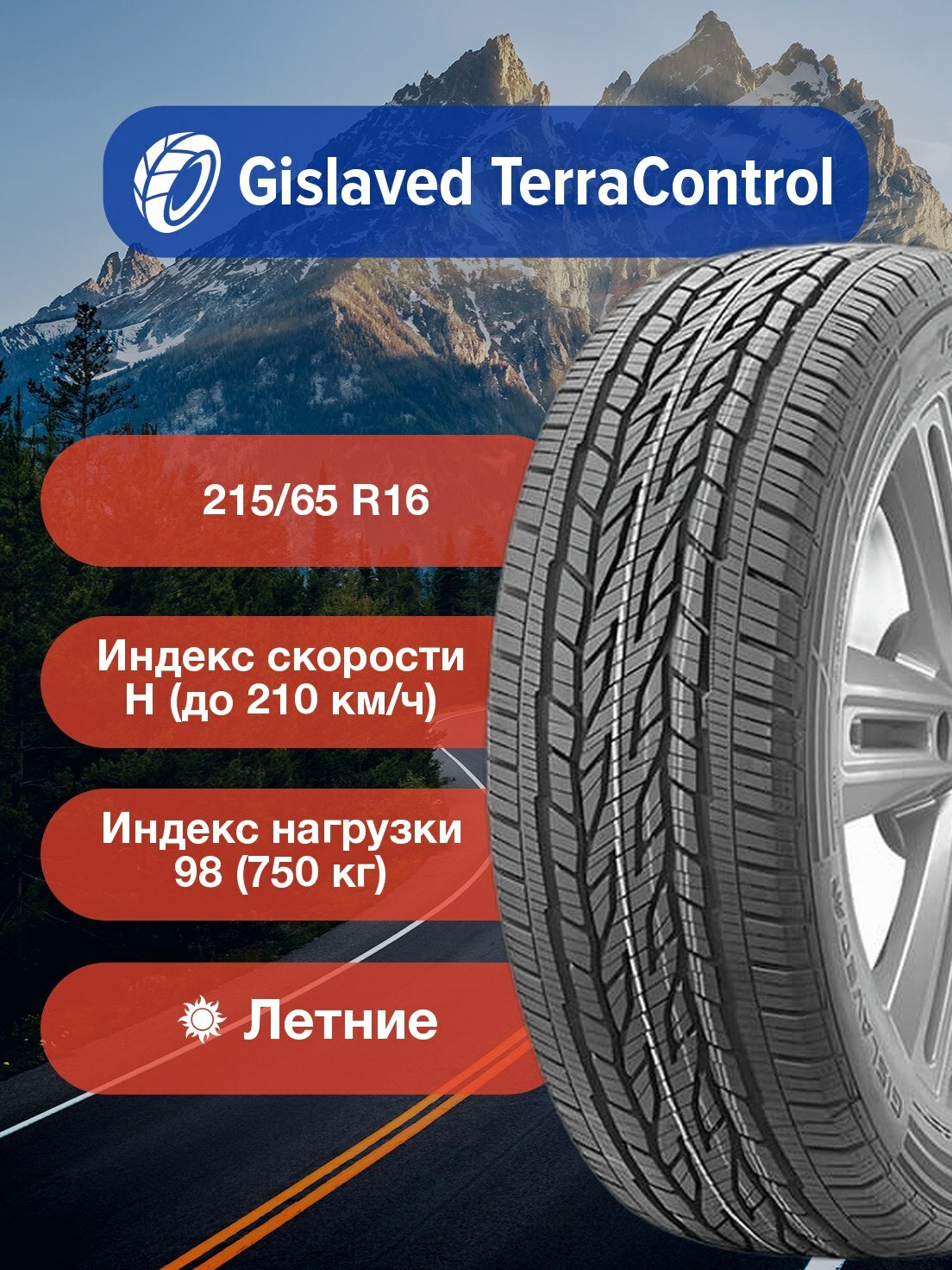 Легковые Летние Шины Gislaved TerraControl (ex. Continental) 215/65 R16 98H-03600040000 для легковых автомобилей и кроссоверов