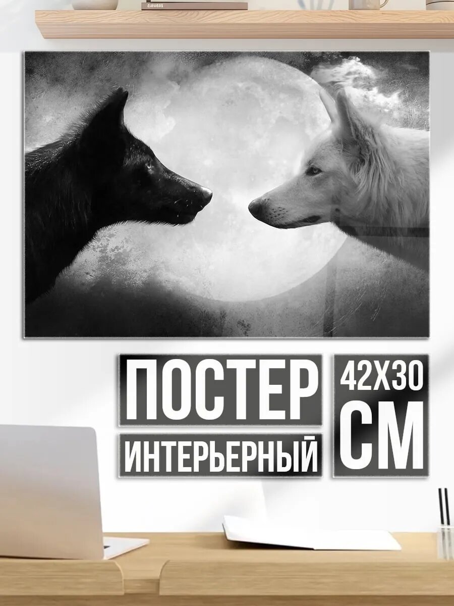 Плакат постер Волки и луна