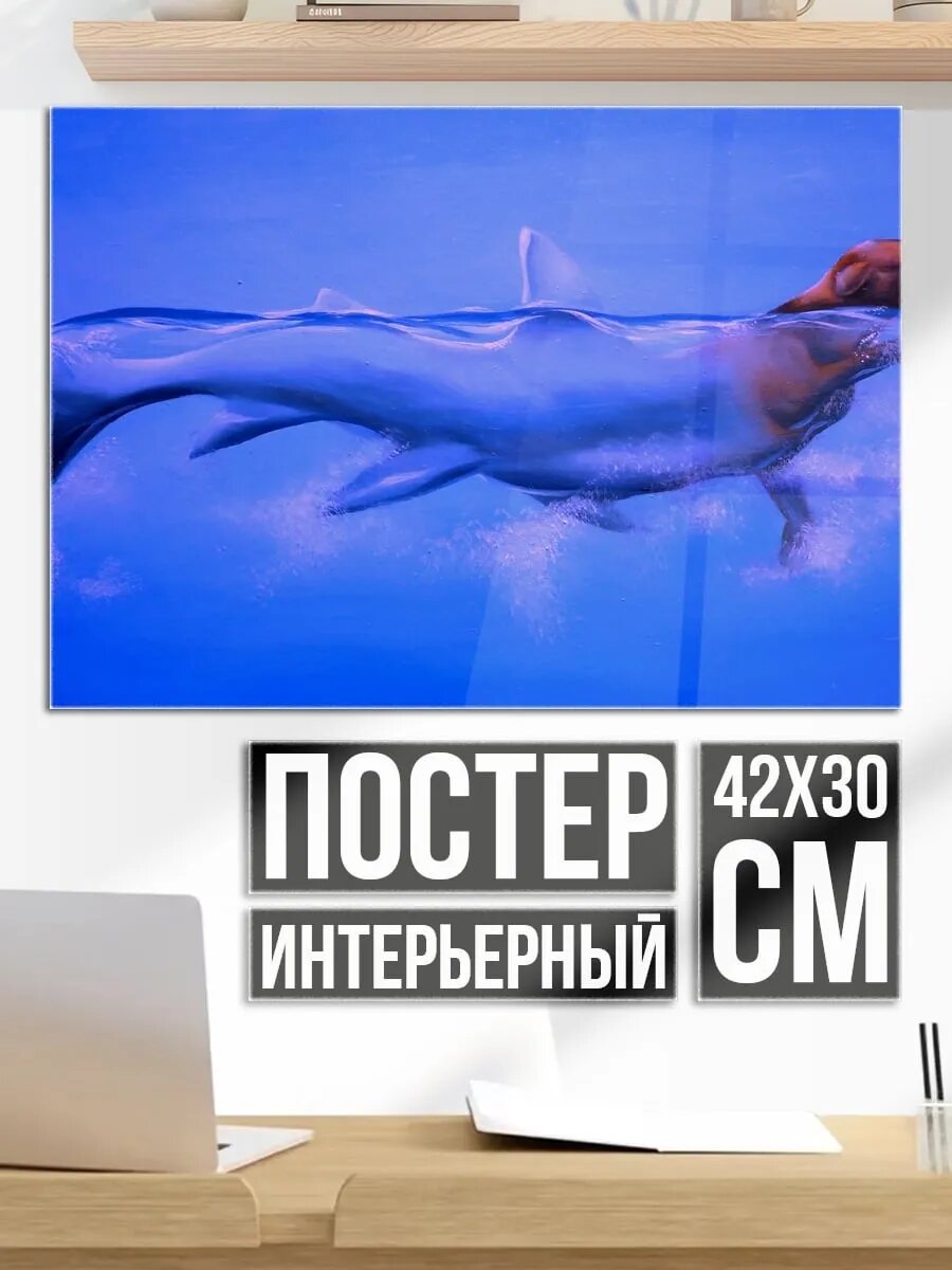 Плакат постер Собака акула плывет
