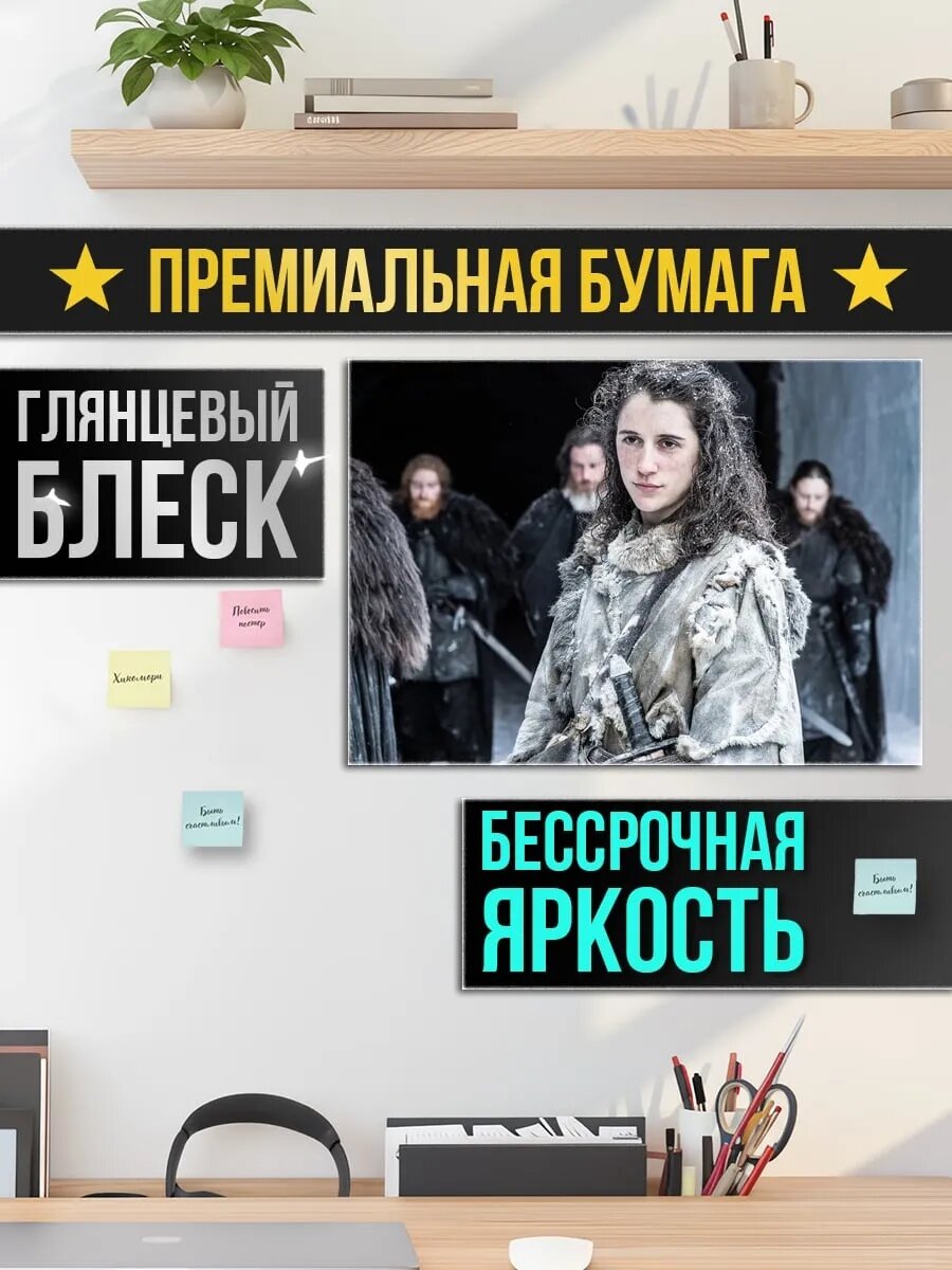 Плакат постер Воительница Севера — фото 1