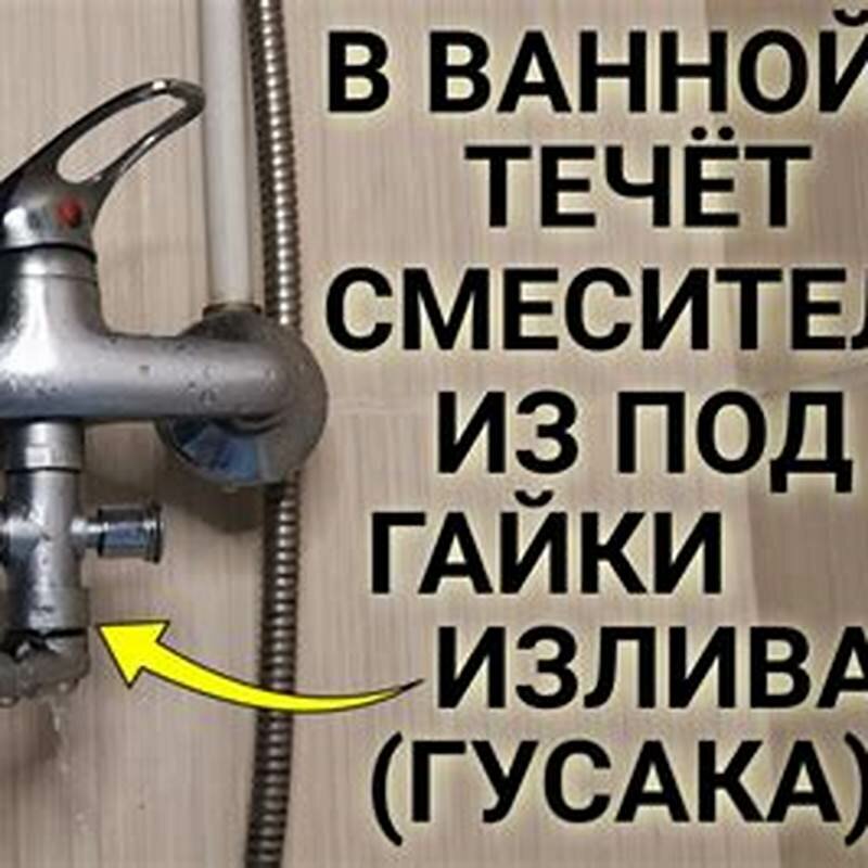 Переход под гусак