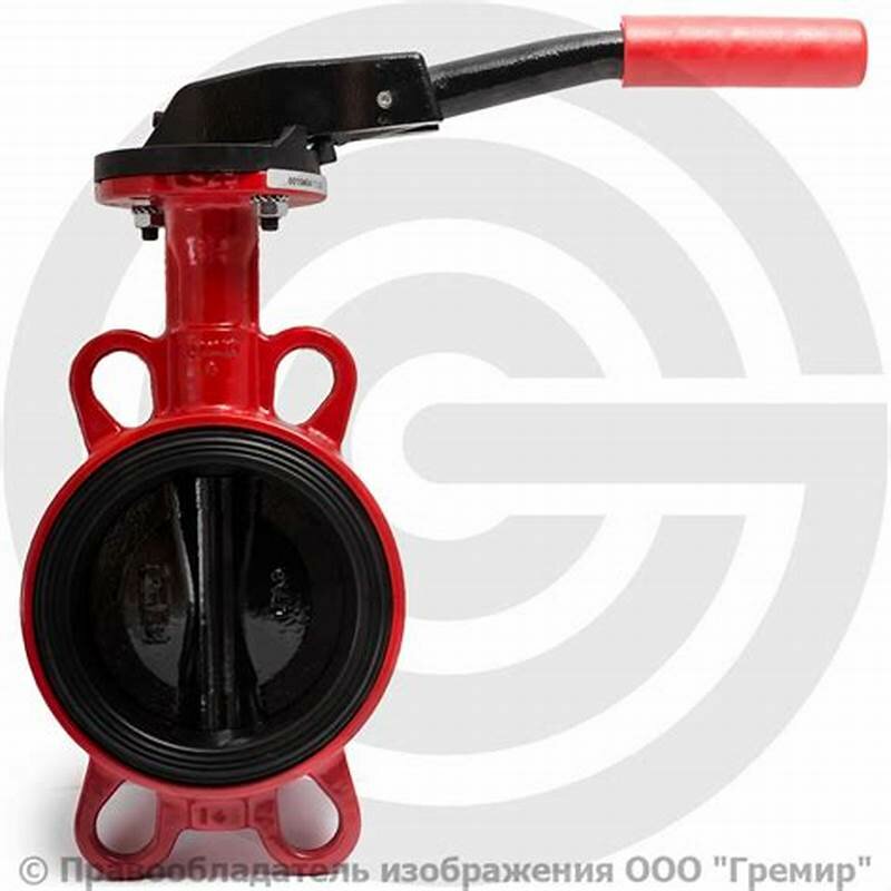Затвор поворотный, чугун, EPDM, Ду 50, Pу 16, для чугуна, RMCX