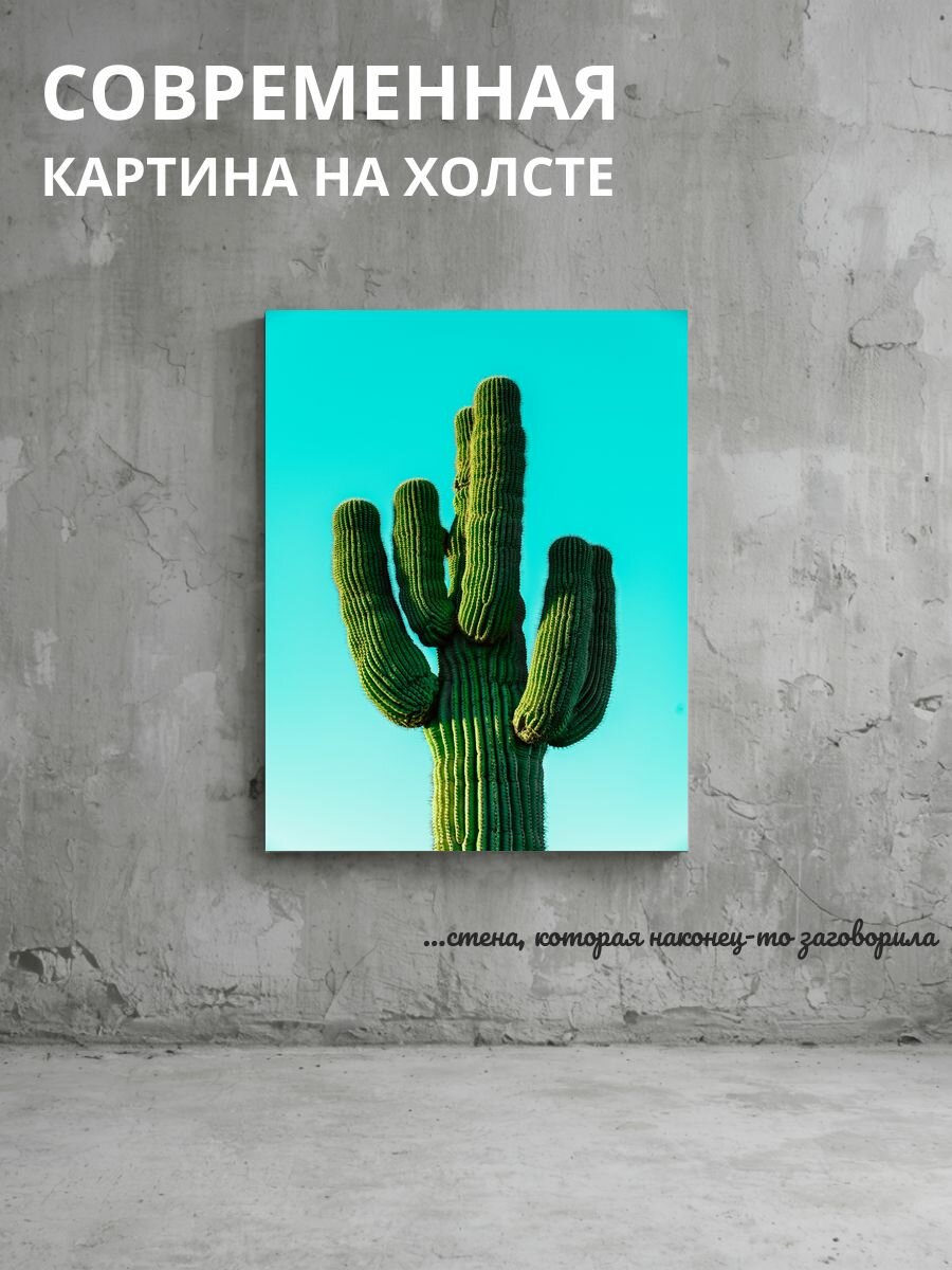 Картина на холсте Кактус 50x70 см