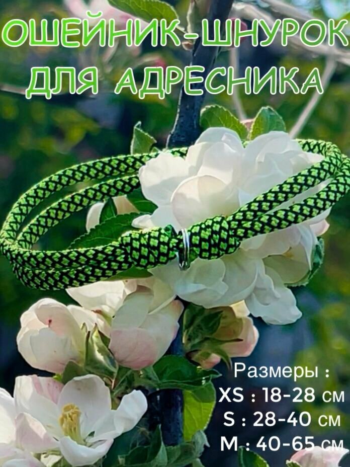 Ошейник-Шнурок для адресника из паракорда, NEON GREEN/BLACK , S (28-40см)