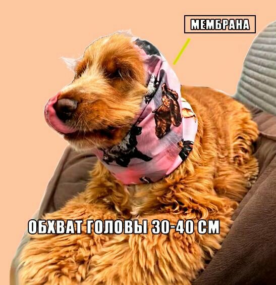 Снуд холодный для средних пород, длина 30 см, обхват головы 30-40 см, с принтом Английский кокер-спаниель (розовый)