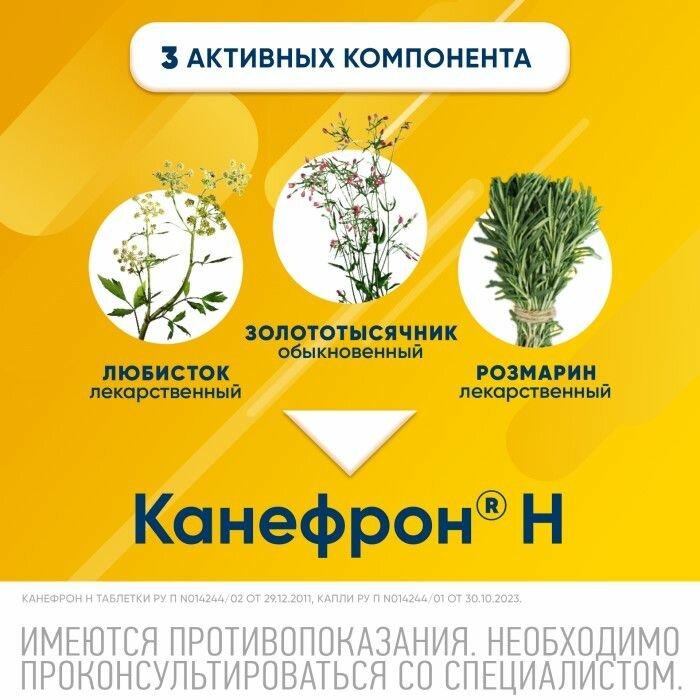 Канефрон Н, таблетки покрытые пленочной оболочкой, 120 шт. — фото 1