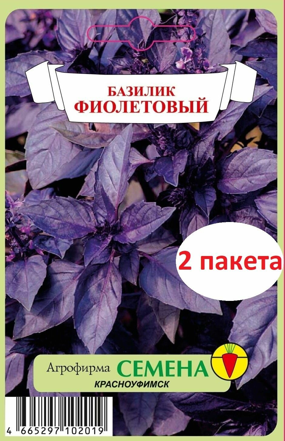 Семена базилик фиолетовый 0,2 гр / 2 пакета, крупный, ароматный, полезный, для открытого / закрытого грунта, душистый фиолетовый базилик базилик для открытого грунта базилик для закрытого грунта