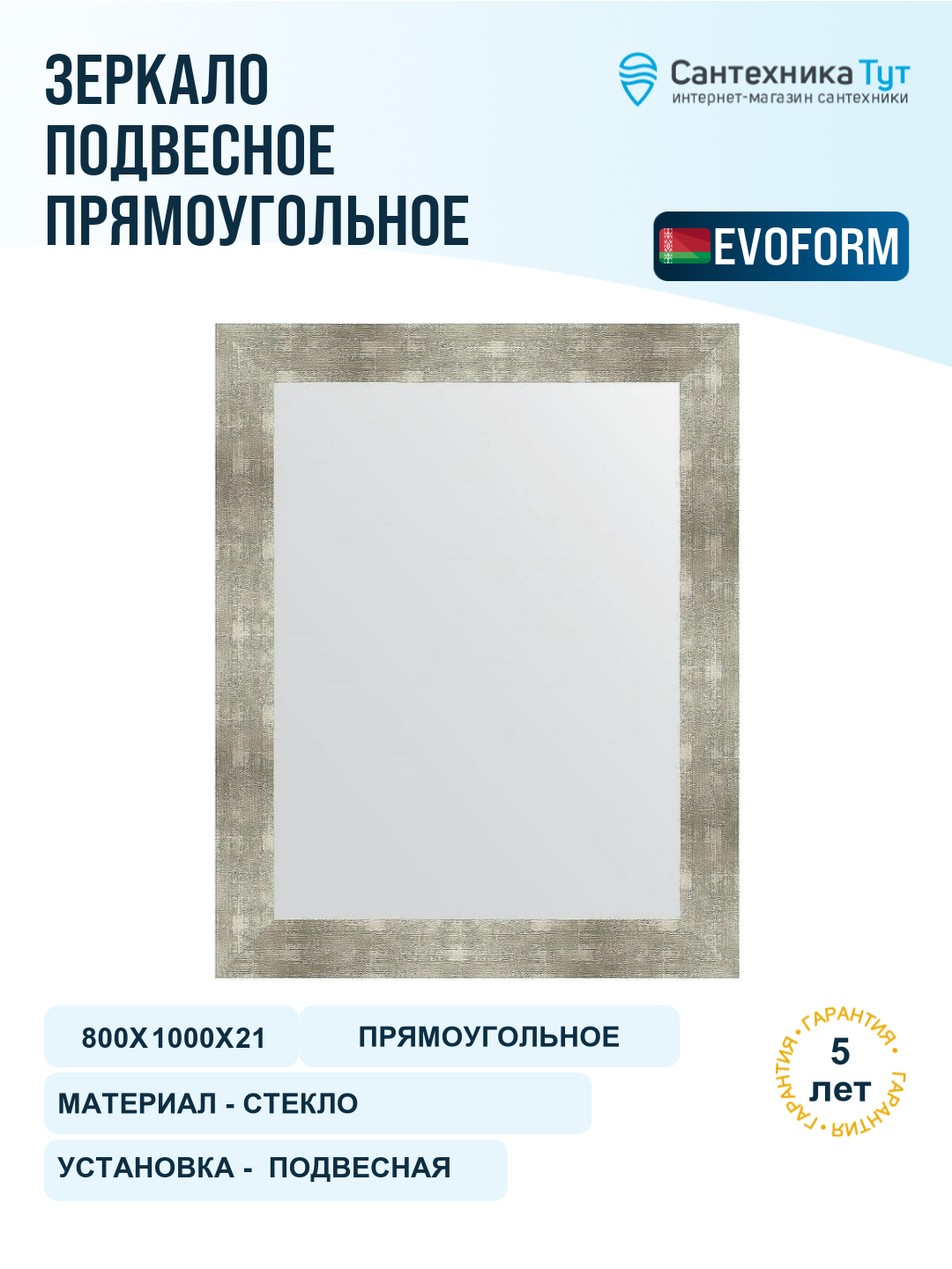 Зеркало Evoform Definite 100х80 BY 3282 в багетной раме - Алюминий 90 мм
