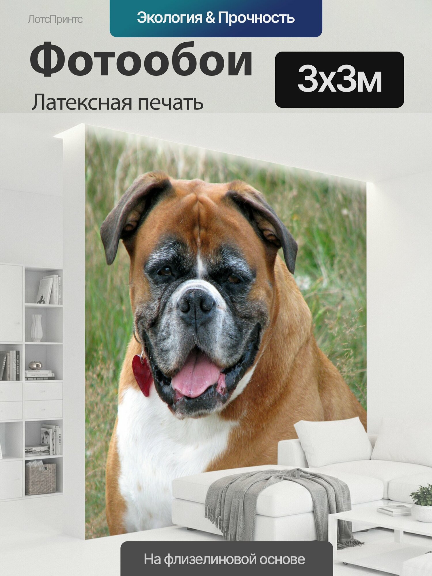 Фотообои моющиеся ударопрочные "Боксер, собака, домашний питомец" 300x300 см. латексная печать