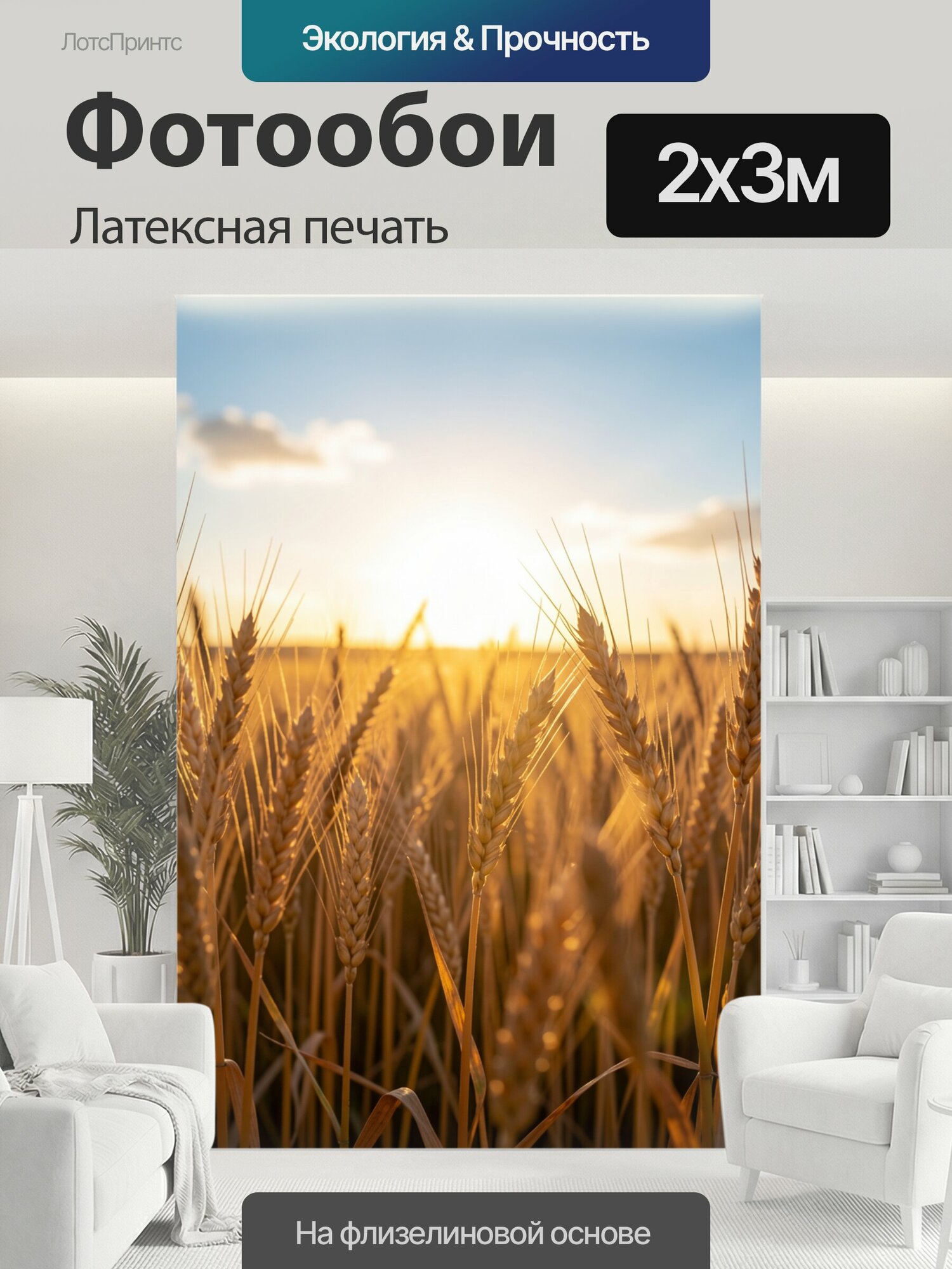 Фотообои моющиеся ударопрочные "Пшеничное поле на закате. Золотые колосья злаков в лучах вечернего солнца под голубым небом с легкими облаками." 200x300 см. латексная печать