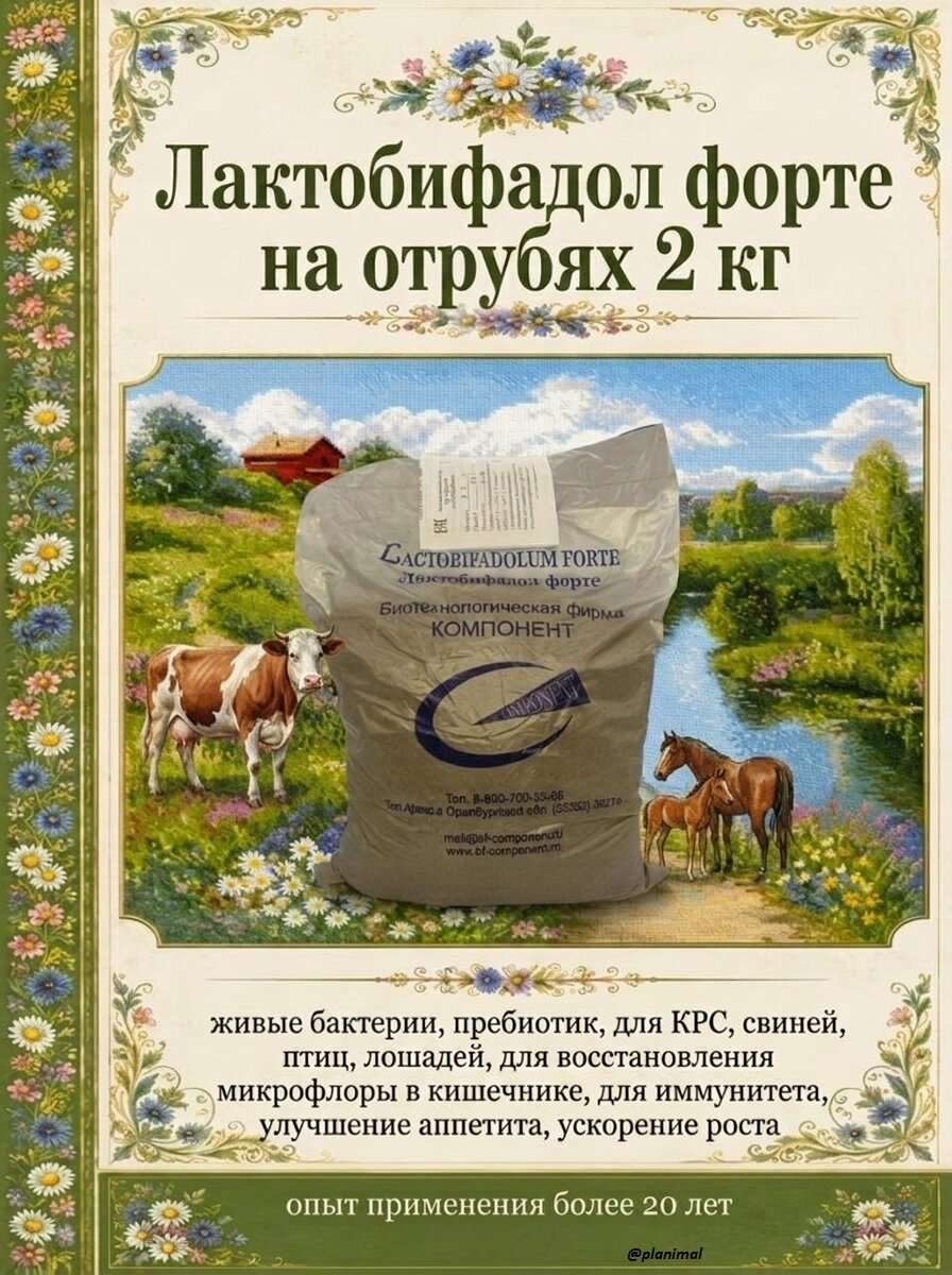 Компонент: Лактобифадол форте на отрубях, пребиотическая кормовая добавка для КРС, свиней, птиц, лошадей, 2 кг