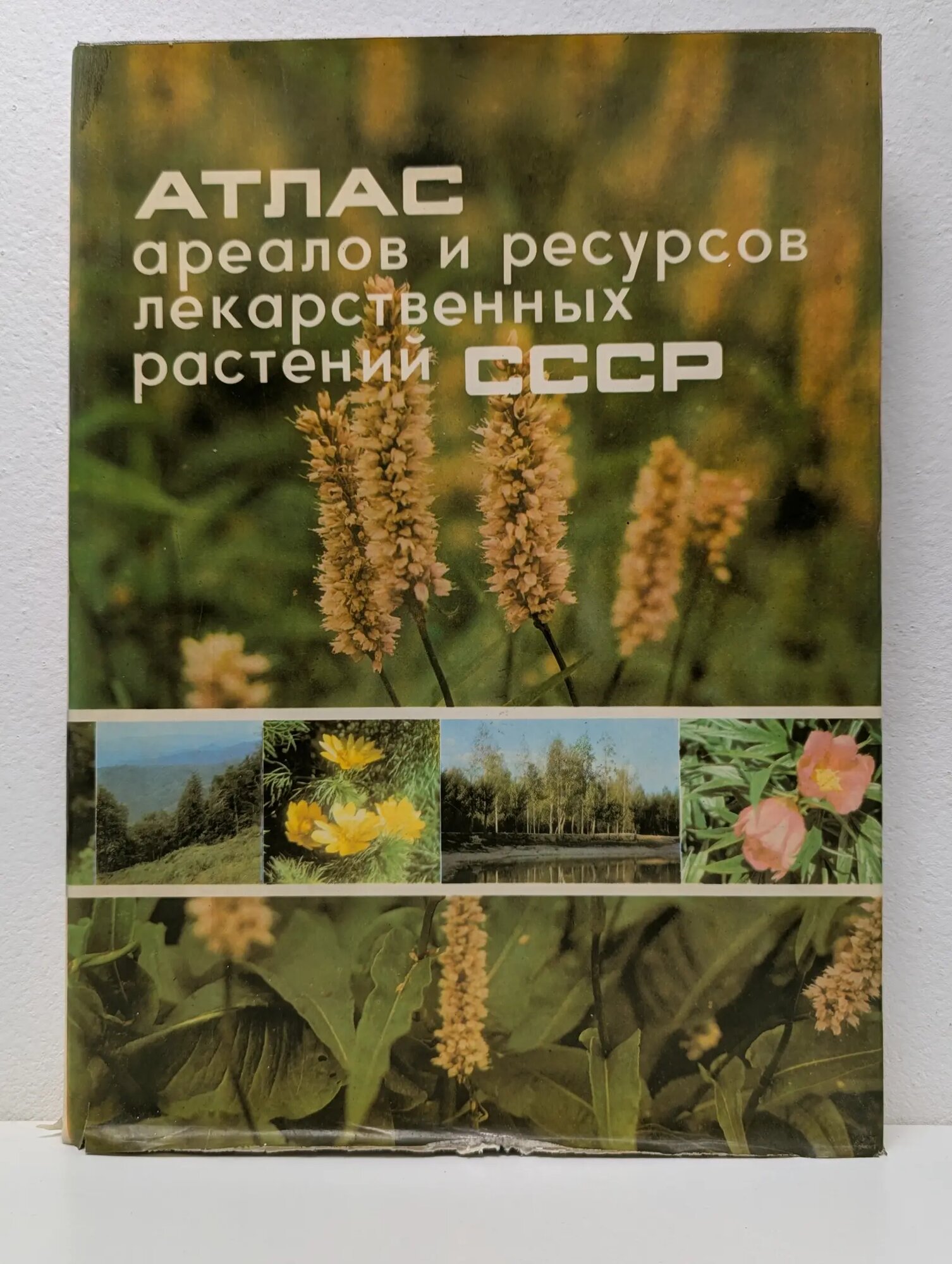 Атлас ареалов и ресурсов лекарственных растений СССР Сборник 1980