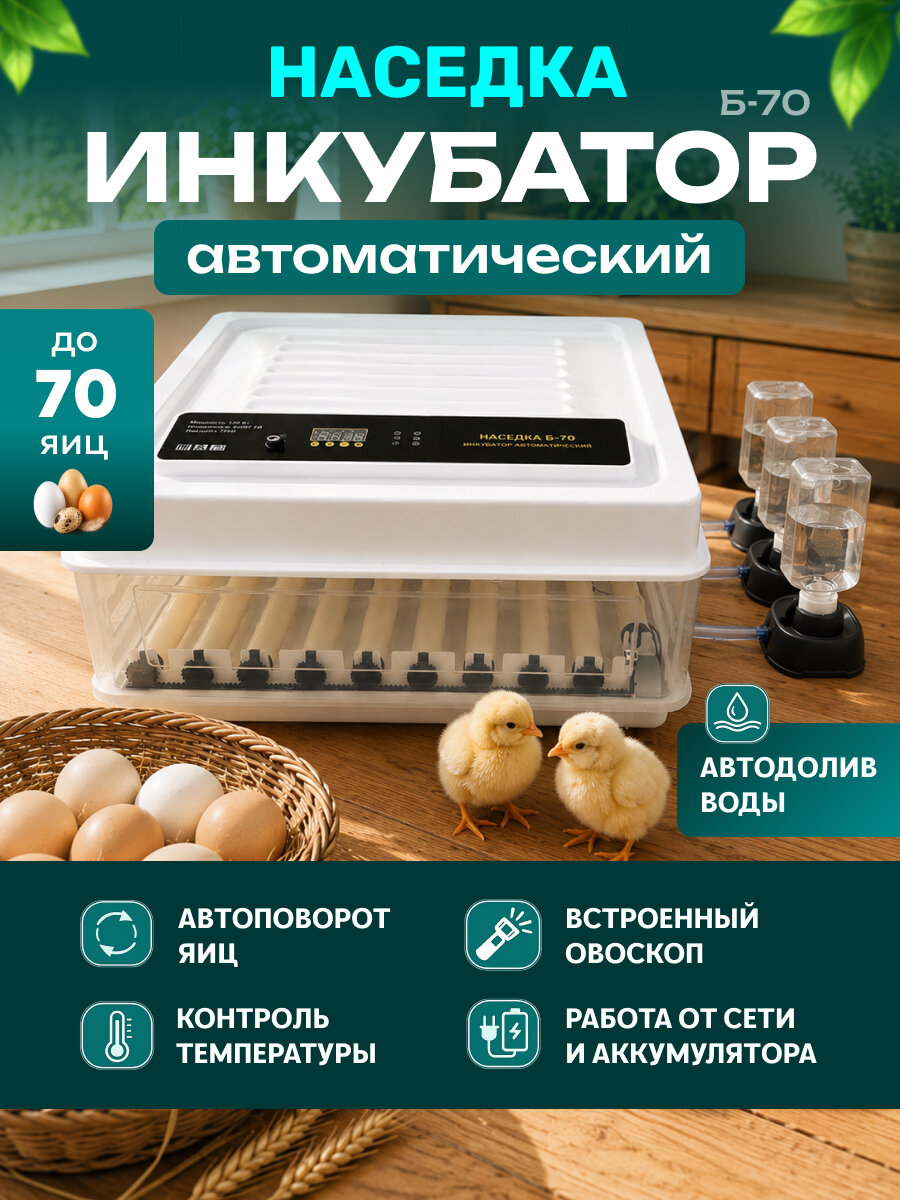 Инкубатор для яиц автоматический Наседка Б-70 с терморегулятором, овоскопом, автоповоротом, 220В/12В