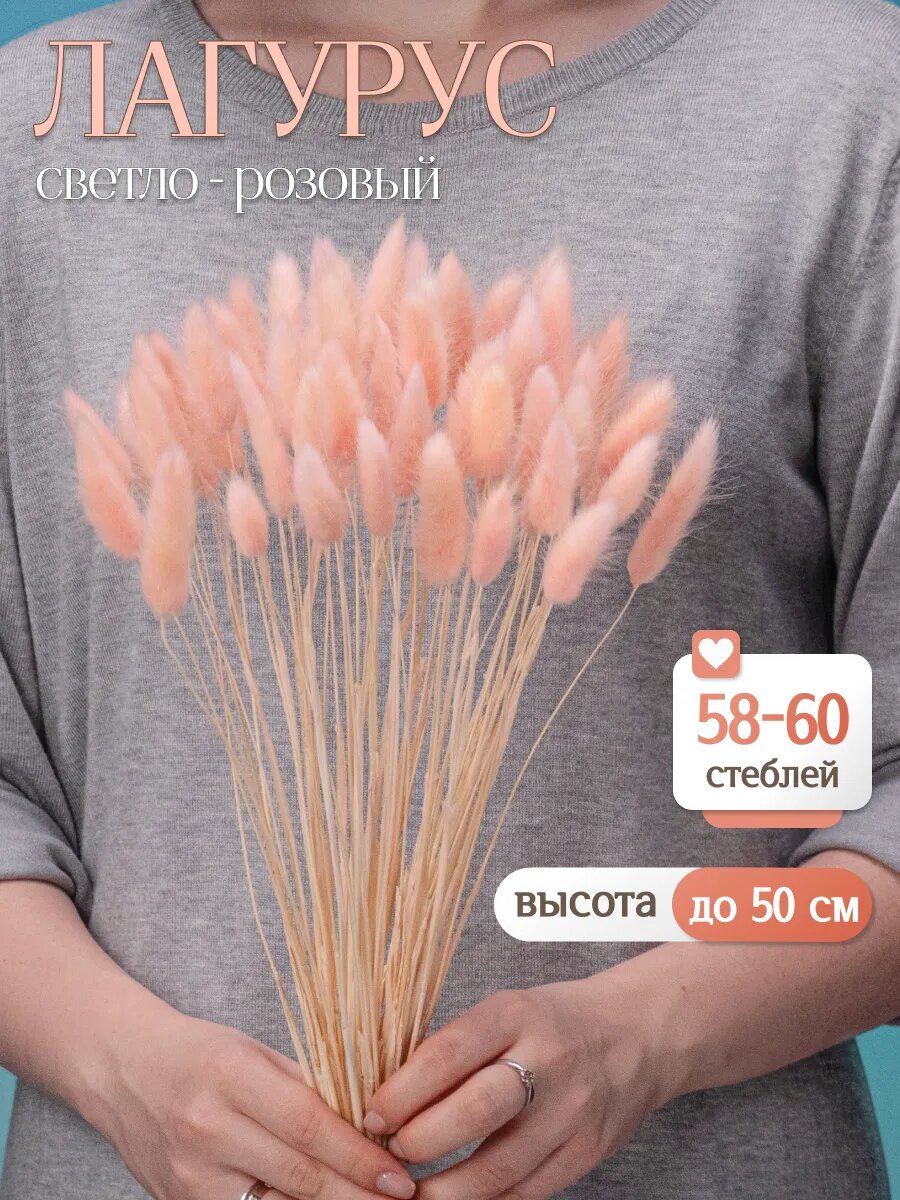 Лагурус светло-розовый 58-60 шт сухоцветы для декора