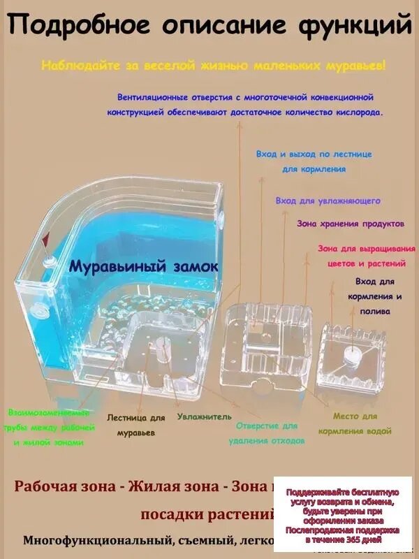 Муравьиная ферма — фото 1