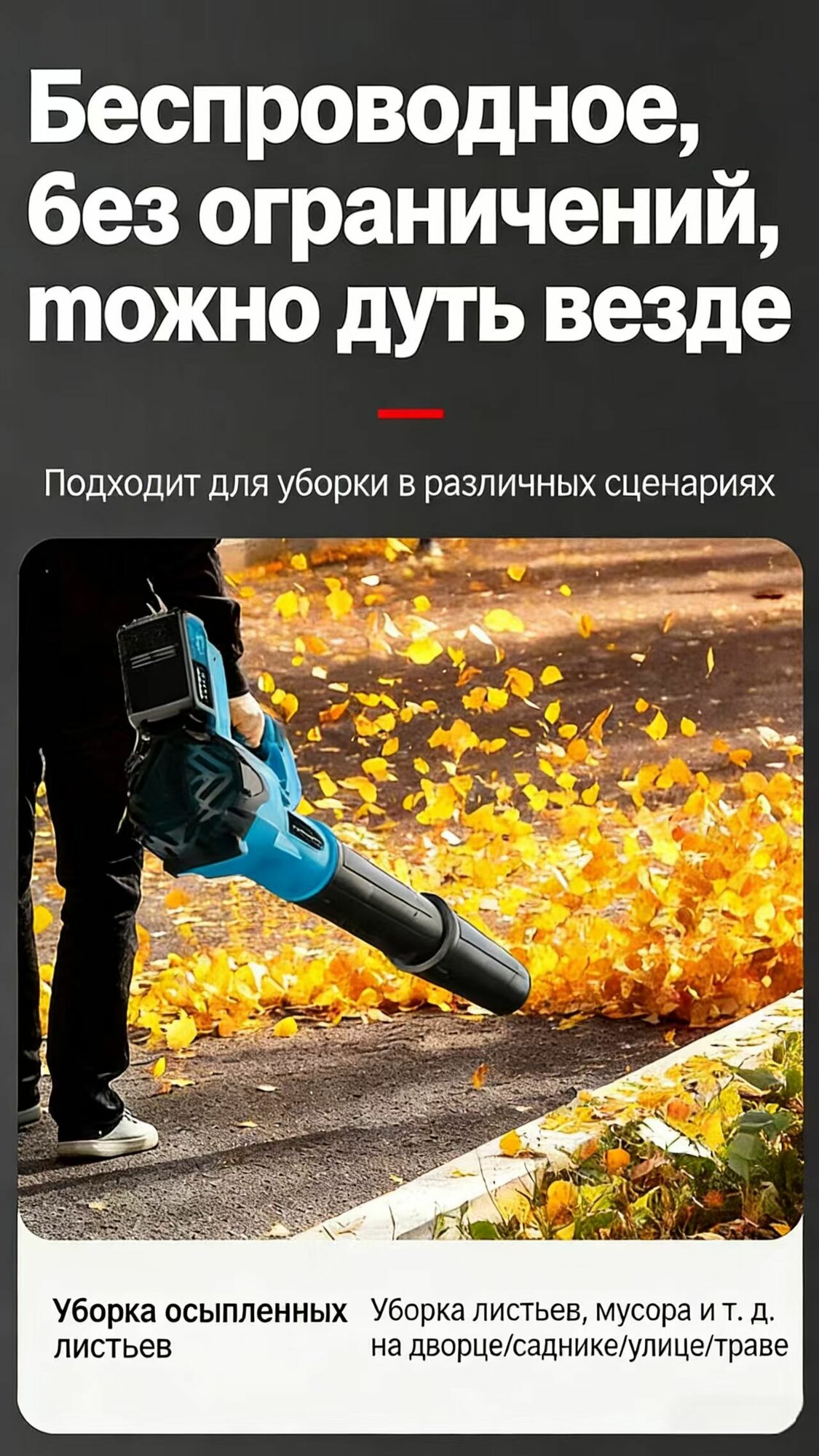 Воздуходувка,3000Вт — фото 1