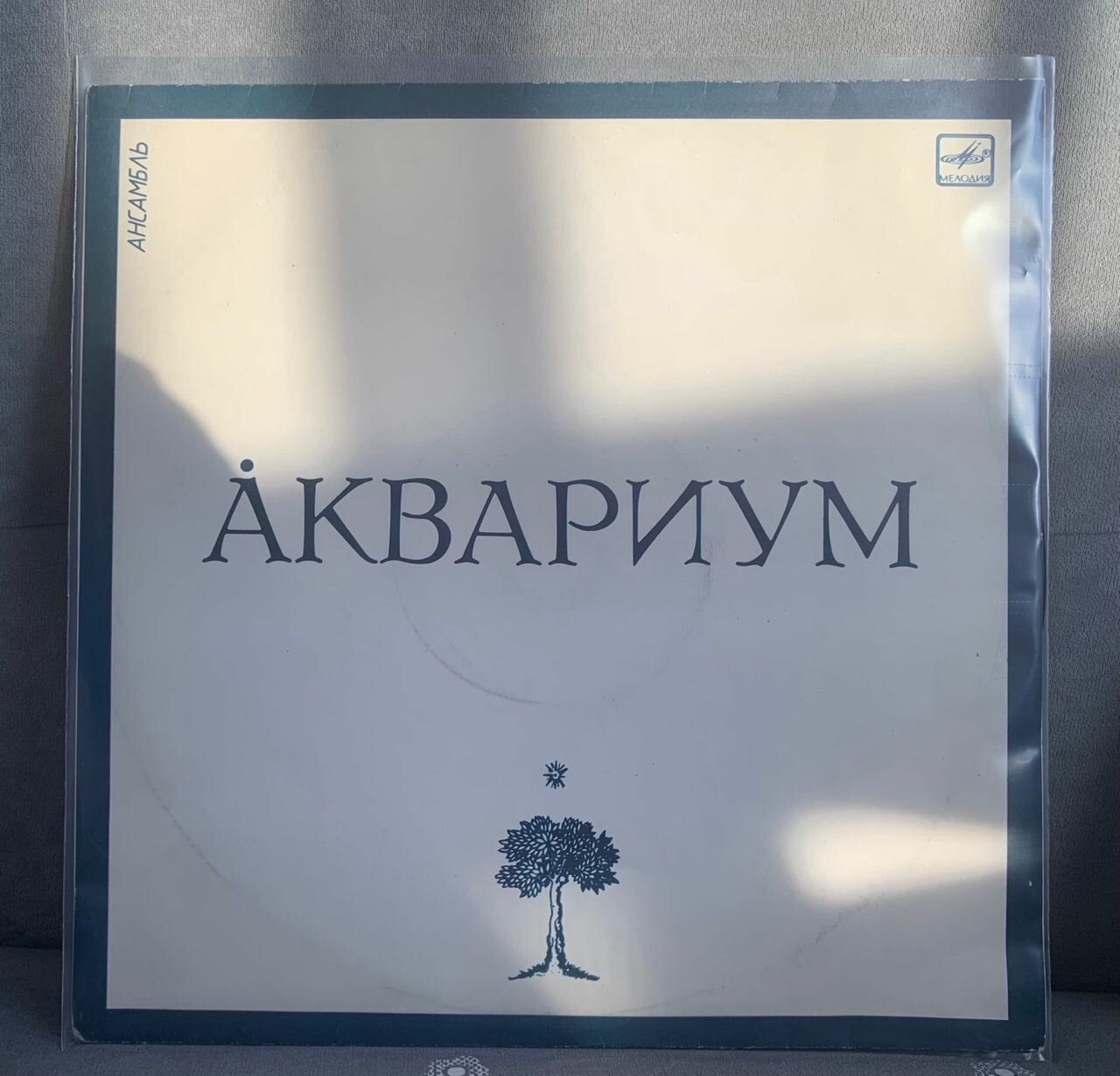 Аквариум LP, Виниловая пластинка, NM NM
