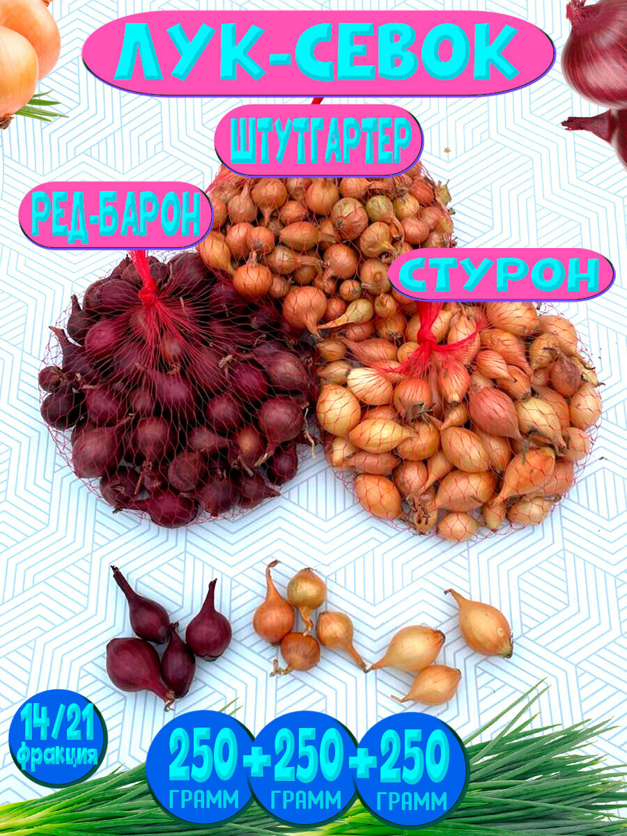 Набор Лук севок для посадки весной на репку и зелень 3 сорта по 250 г