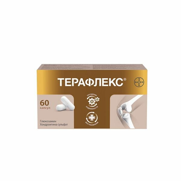 Терафлекс капсулы 500мг+400мг 60шт