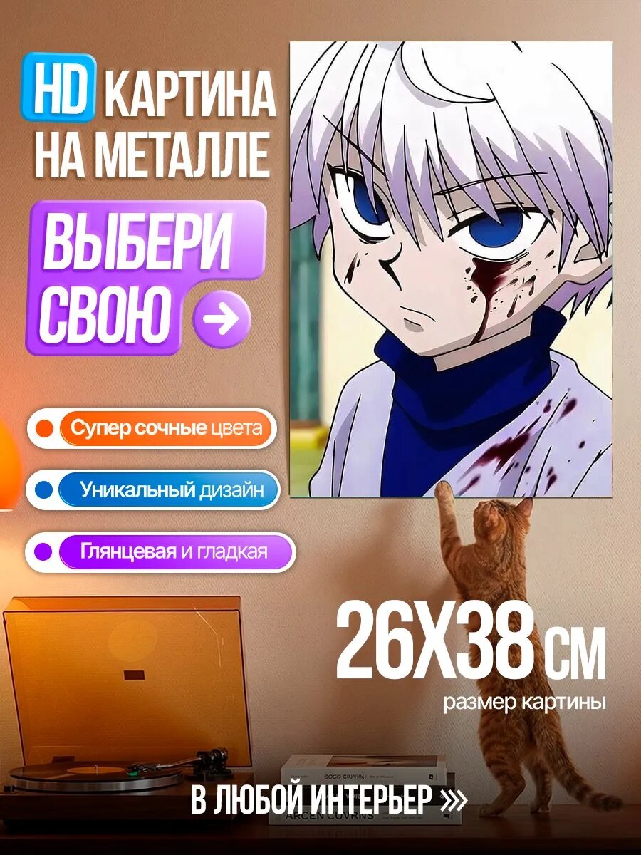 Картина на HD металле Киллуа Зольдик