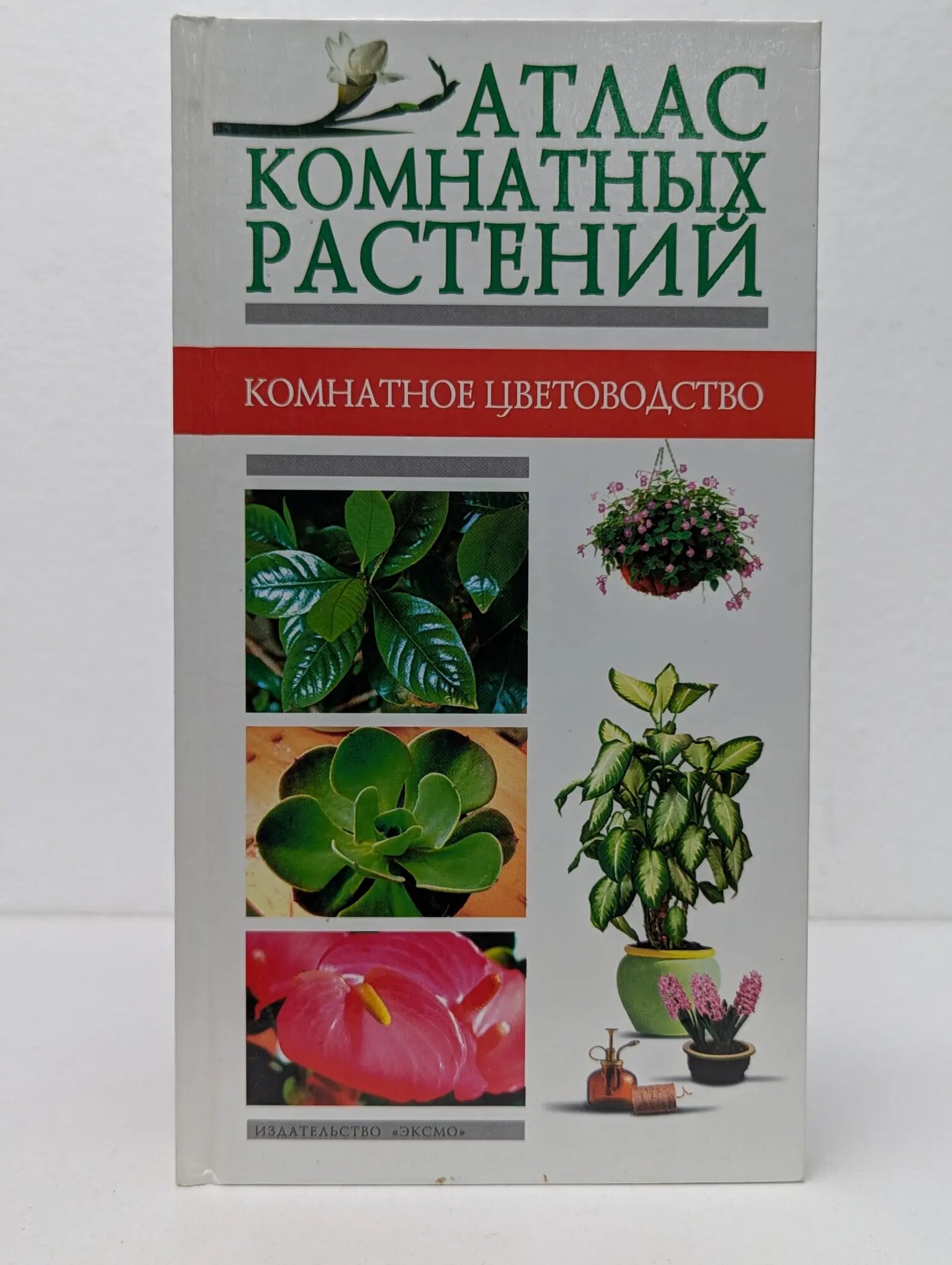 Атлас комнатных растений Лимаренко А. Ю, Палеева Т. В. 2004