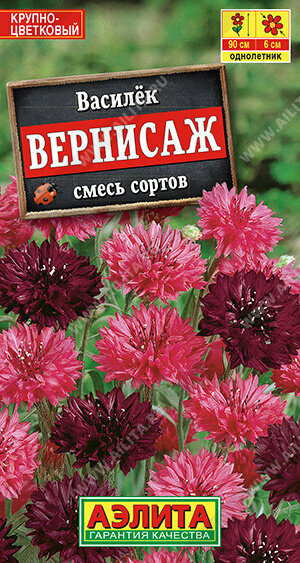 Семена цветов Аэлита "Василек Вернисаж", холодостойкость, засухоустойчивость, высота до 90 см