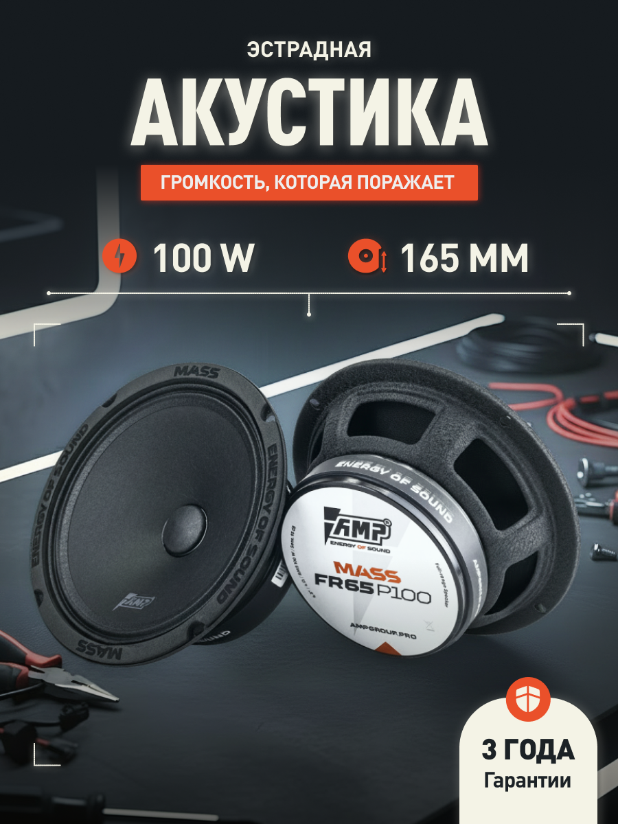 Динамики эстрадные AMP MASS FR65P100 автомобильная, 100/200 Вт, 6.5"