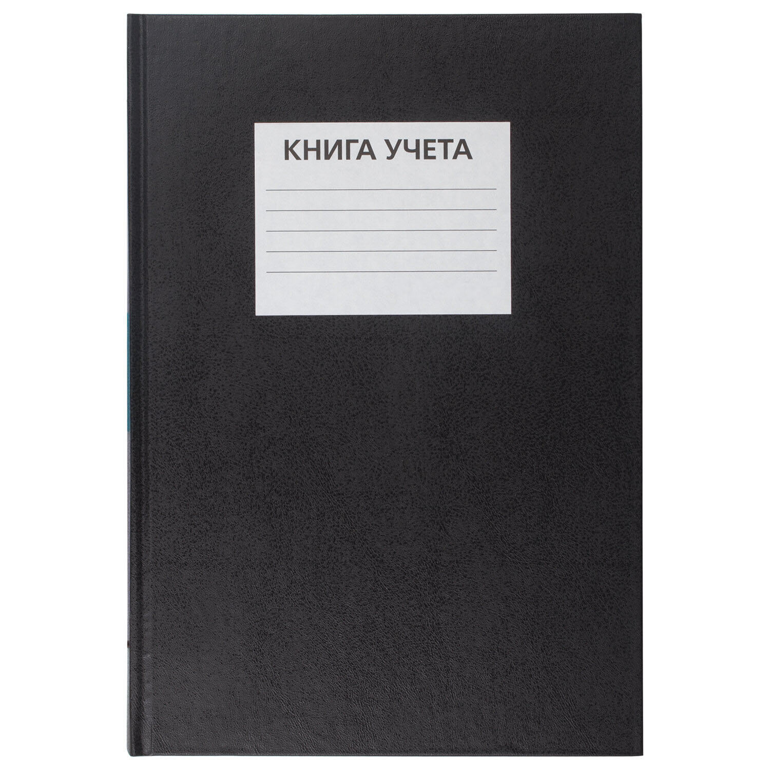 Книга учета 144 л, клетка, твердая, бумвинил, блок офсет, наклейка, А4 (200х290 мм), черный