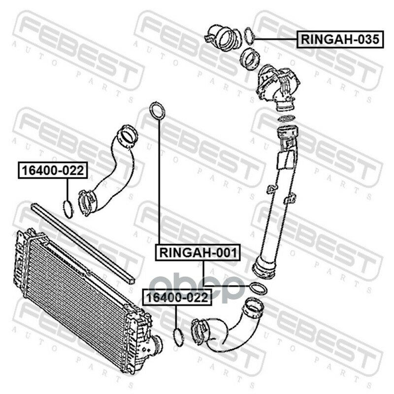 Кольцо уплотнительное воздушного патрубка VOLVO, RENAULT, NISSAN, MINI, MERCEDES BENZ, BMW 16400-022 Febest арт. 16400022 — фото 1