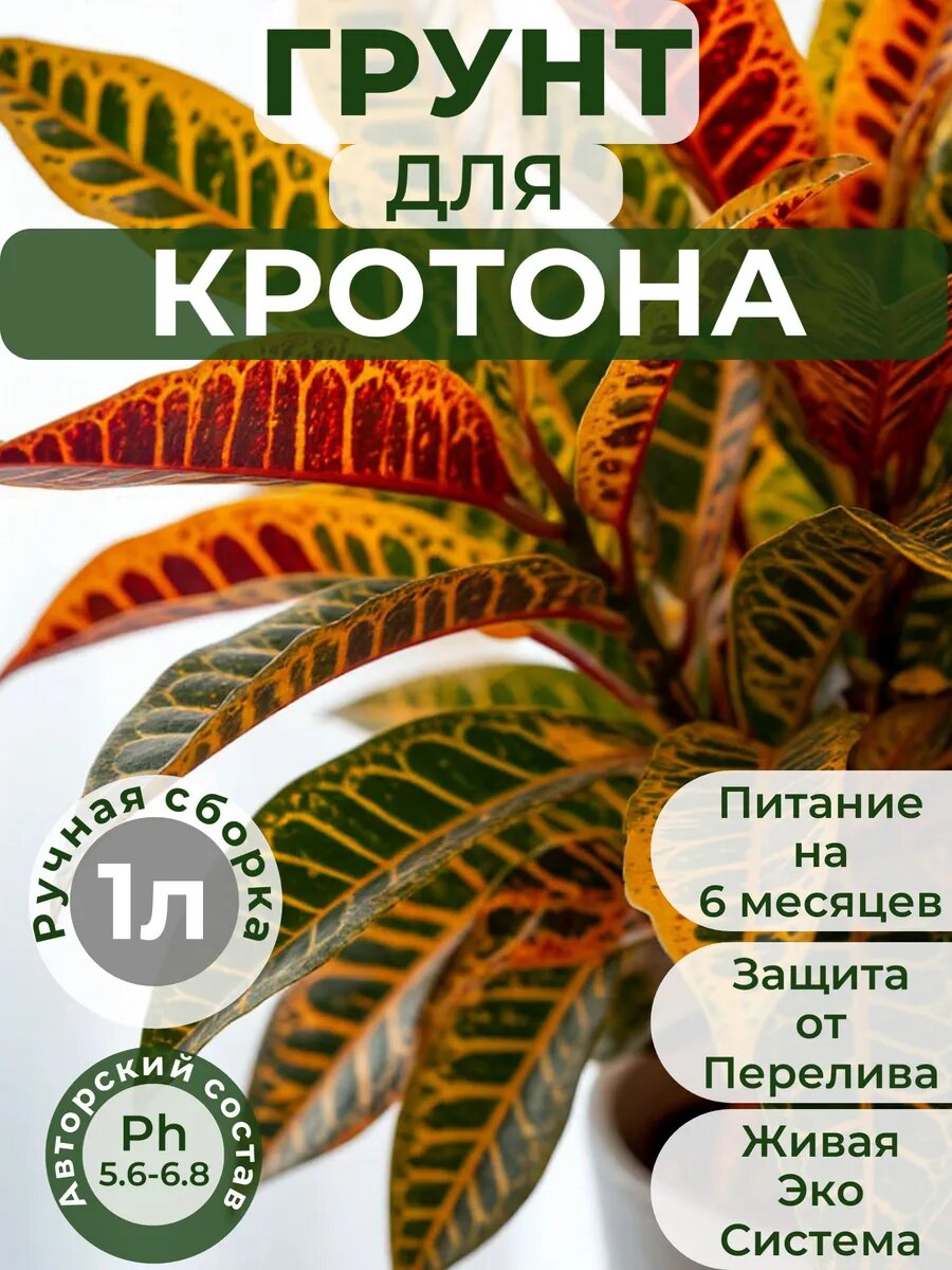 Готовый авторский грунт для Кротона, премиум 1 литр