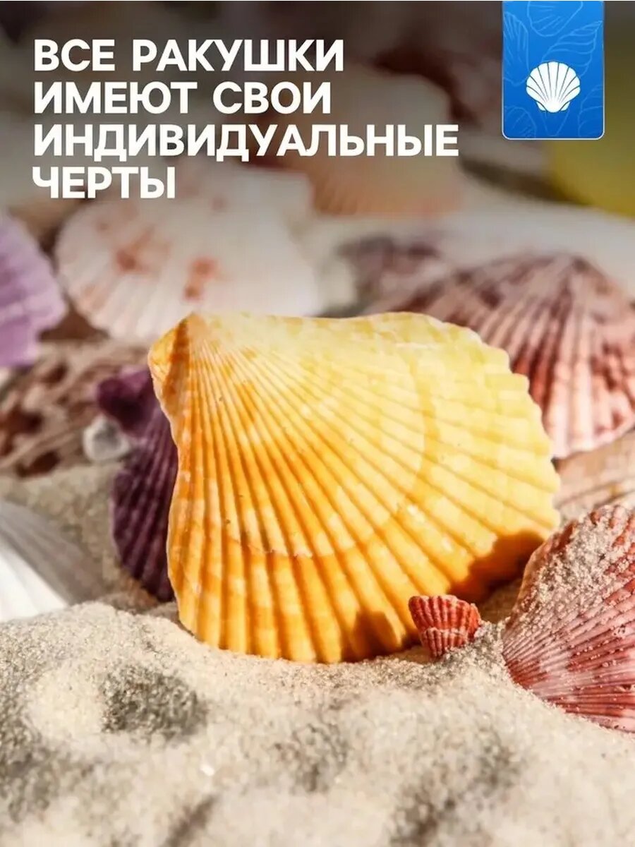 Декоративные ракушки для аквариума