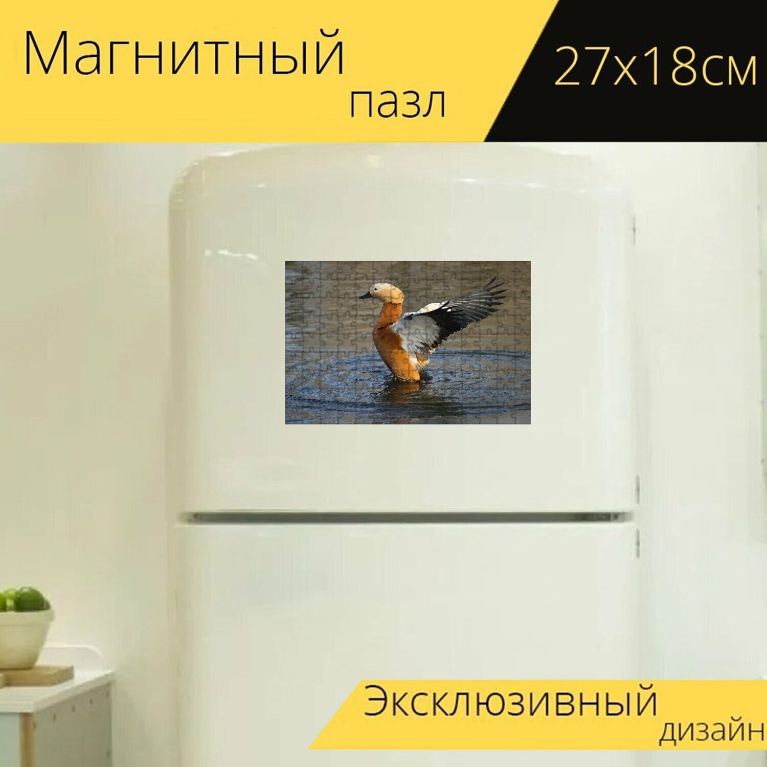 Магнитный пазл "Огарь, птица, пруд" на холодильник 27 x 18 см.