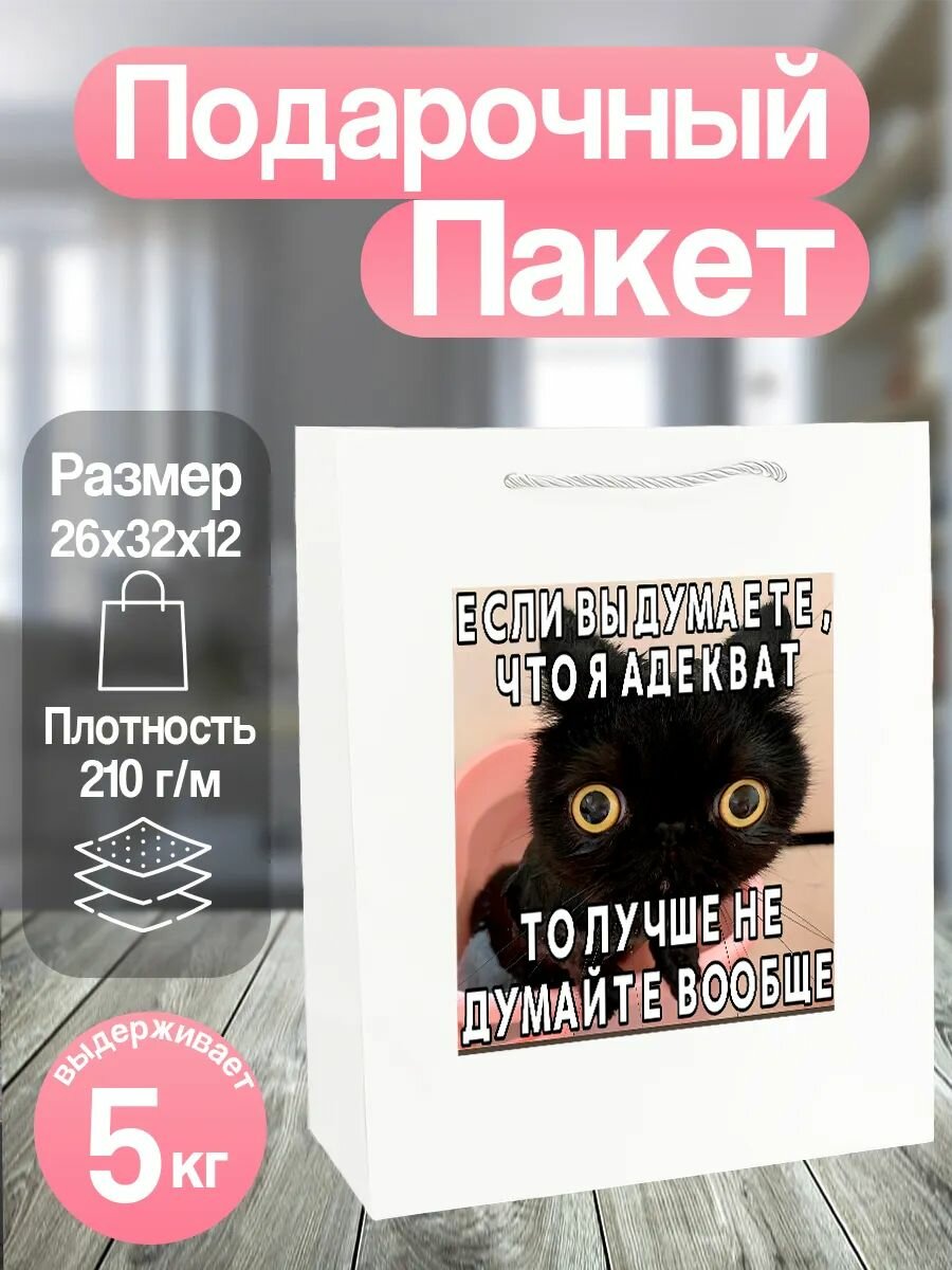 Пакет подарочный мем котики