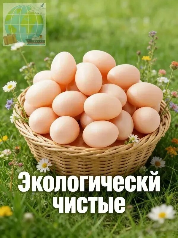 Подкладочное куриное яйцо (муляж) 10 штук для птиц, декора и тренировок Пасхальные яйца с рисунками