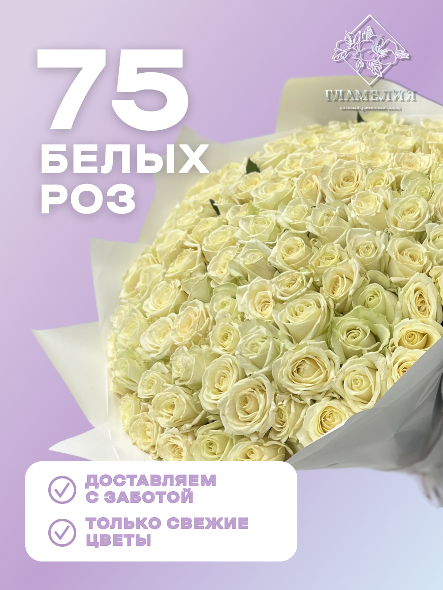 Гламелия цветы Белая Лавина: монобукет из 75 розы Avalanche – купить свежие цветы с доставкой в Москве