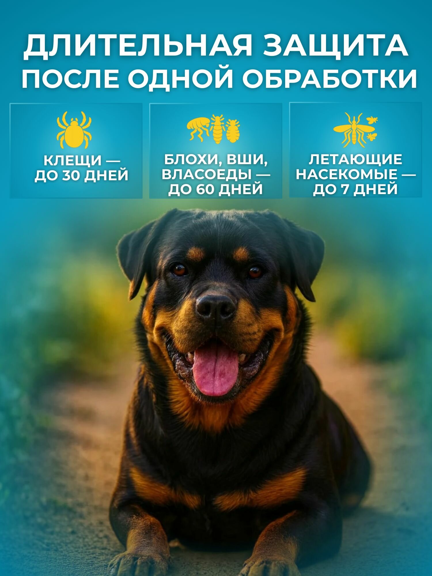 Капли от клещей и блох Neoterica Protecto для собак 40-60 кг, 2 шт — фото 1