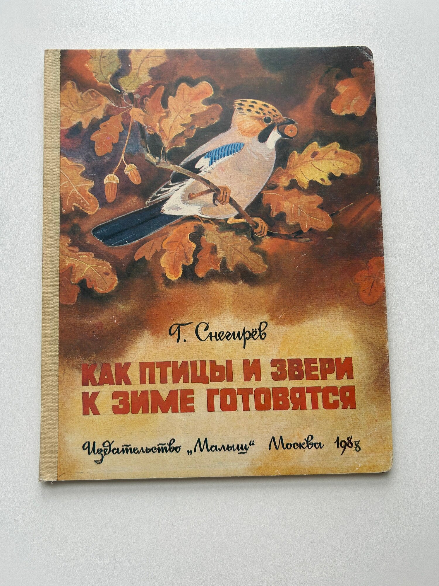 Книга "Как птицы и звери к зиме готовятся". Издание 1988 года