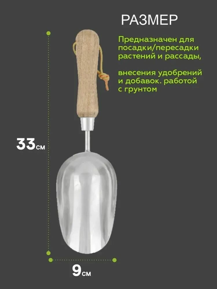 Совок садовый, Нержавеющая сталь, рукоять Дерево