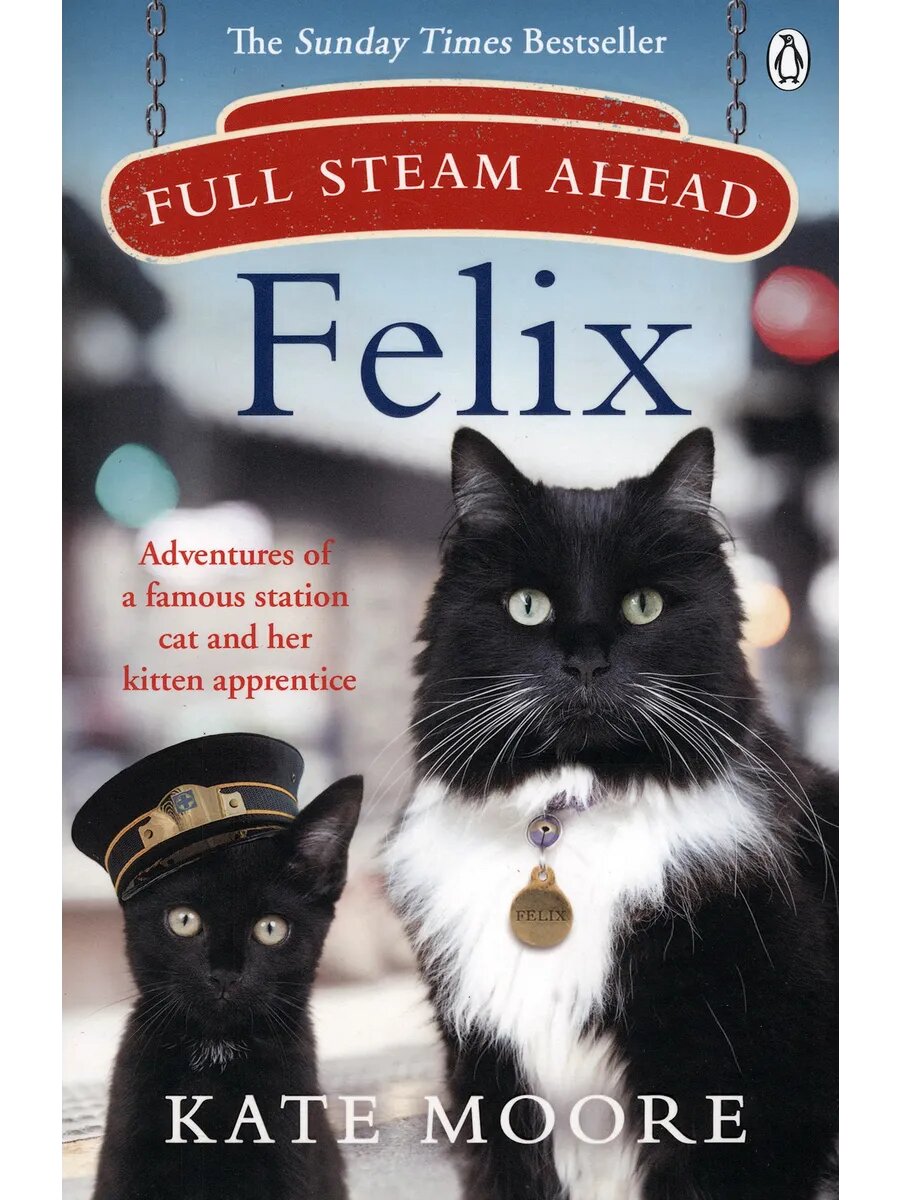 Full Steam Ahead, Felix. Adventures of a famous station cat