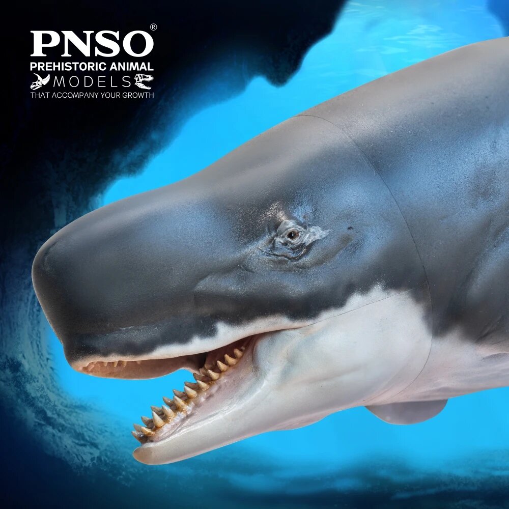 Фигурки динозавров PNSO Requena The Livyatan