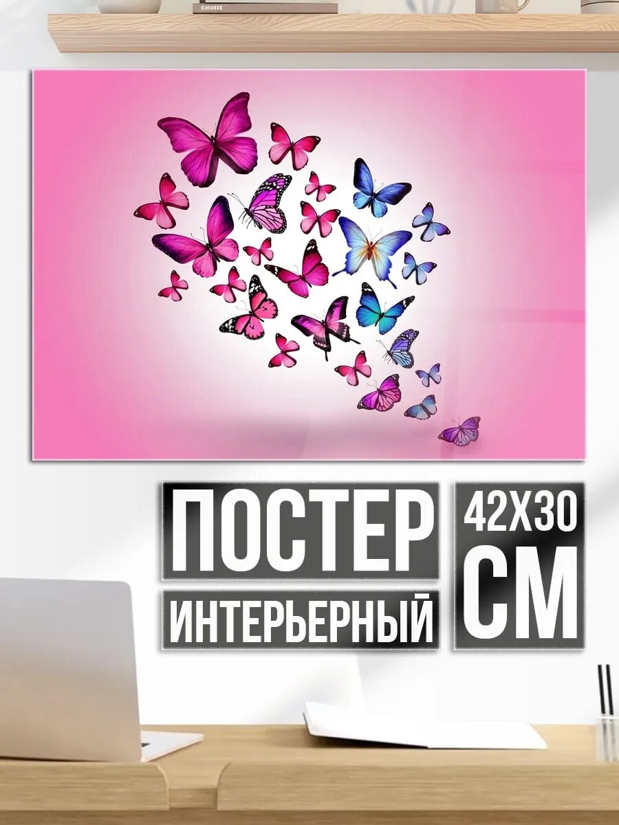 Плакат постер бабочки в полете