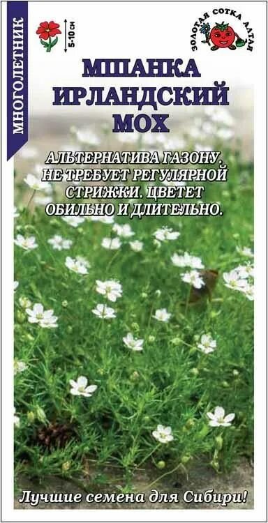 Мшанка Ирландский мох /Сотка/0,01г/5-10 см ирландский мох мшанка семена