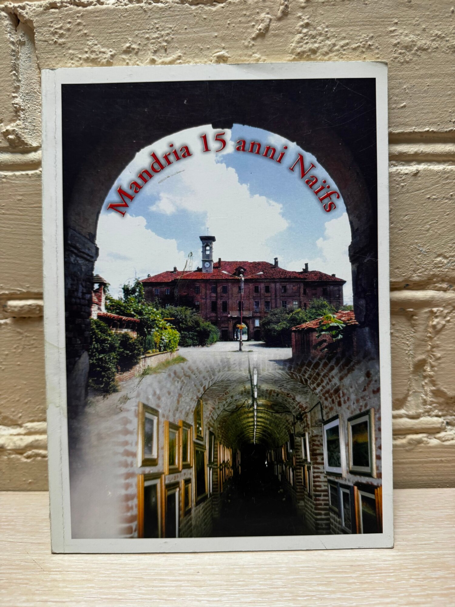 Mandria 15 anni Naifis