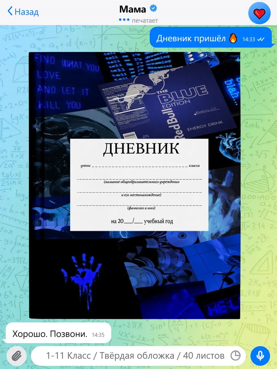Школьный дневник с принтом Роблокс