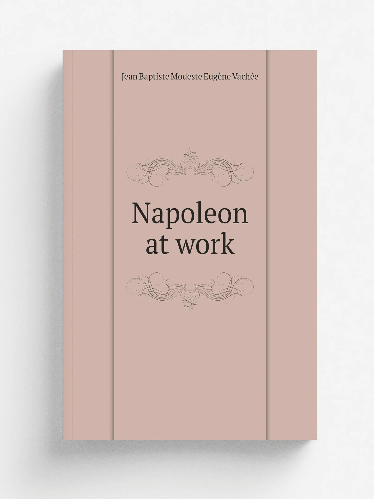 Napoleon at work