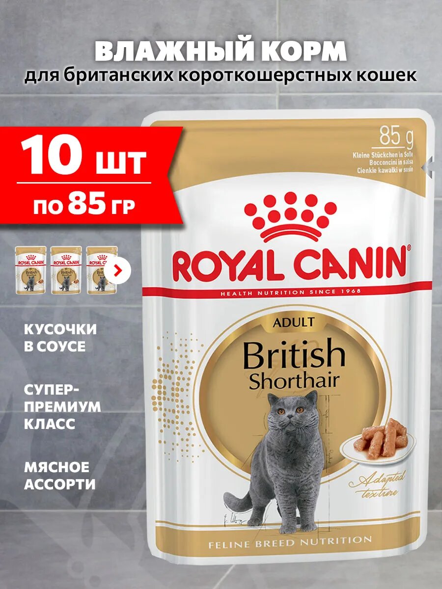 Корм влажный Royal Canin British Shorthair Adult для взрослых британских короткошерстных кошек в соусе пауч, 85 г х 10 шт