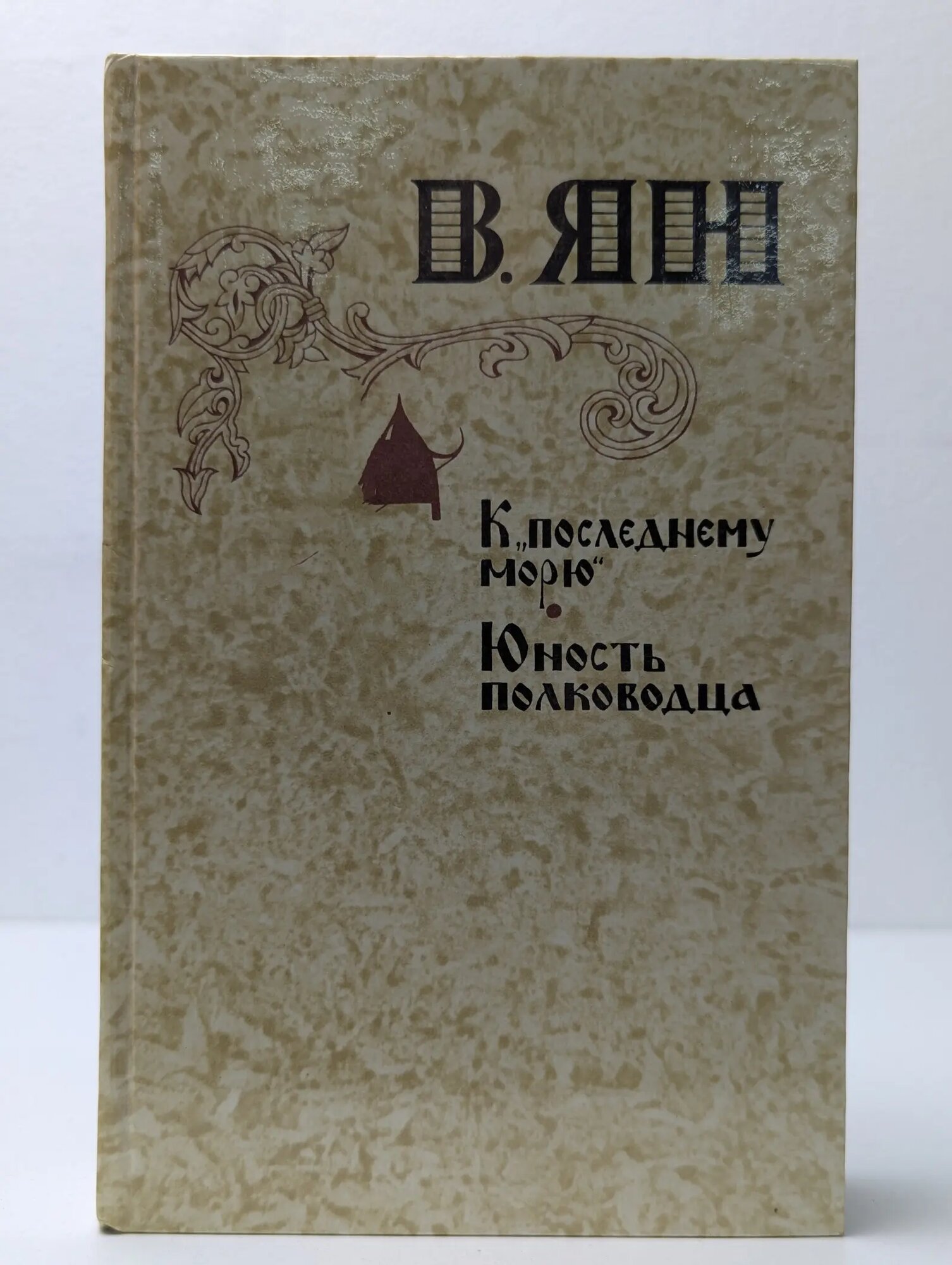 К последнему морю. Юность полководца Ян Василий Григорьевич 1981
