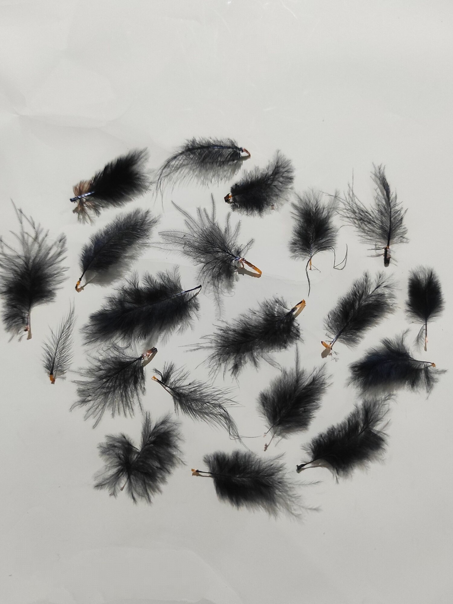 Набор перьев 1-3см