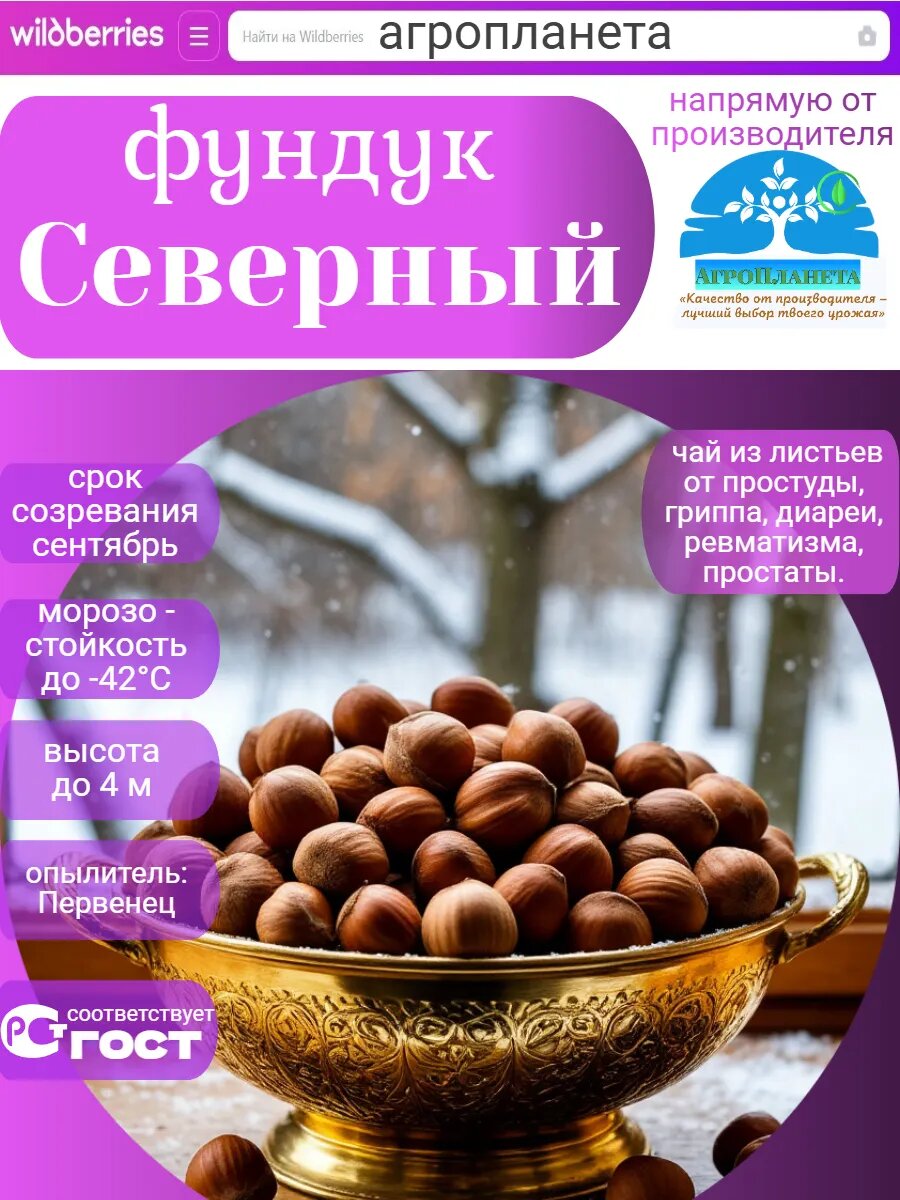 Фундук Северный