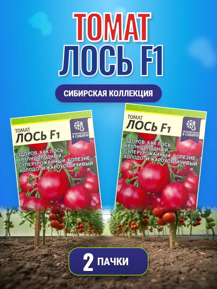 Семена томатов Лось F1 для открытого грунта и теплиц , набор 2 пачки